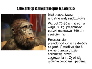 prezentacja dla ćwoka | PPT