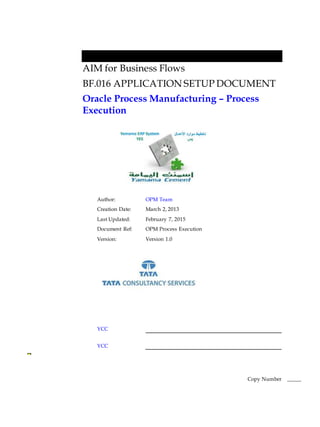 Bf.016 application setup_document_opm_process_execution_v1.0 | DOCX