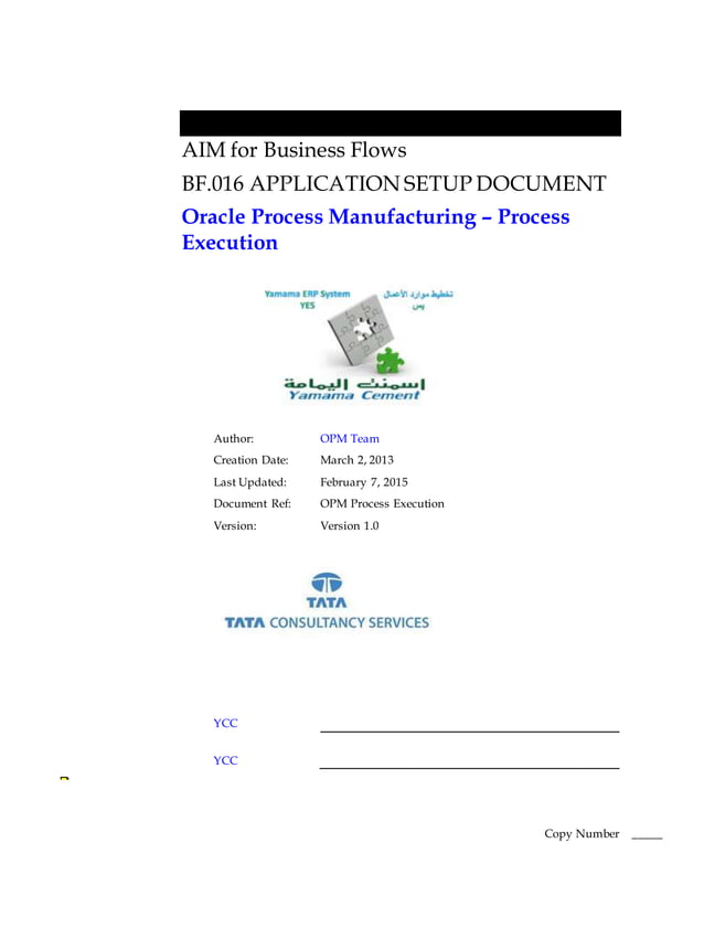 Bf.016 application setup_document_opm_process_execution_v1.0 | DOCX