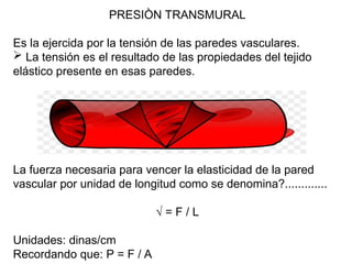 Biofísica DE LA CIRCULACIÓN 2023 Medicina.ppt
