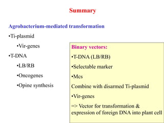 Nitrogen fixation and agarobacterium_251 | PPTX