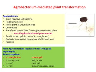 Nitrogen fixation and agarobacterium_251 | PPTX