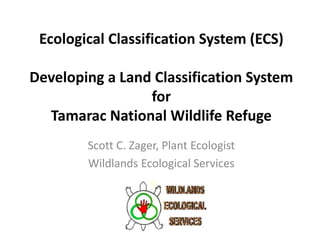 Zager Ecological Land Classification | PPT