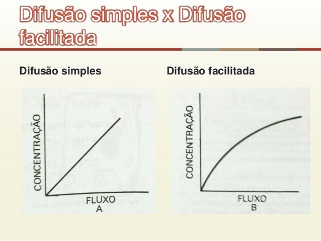 Transportes transmembrana #2