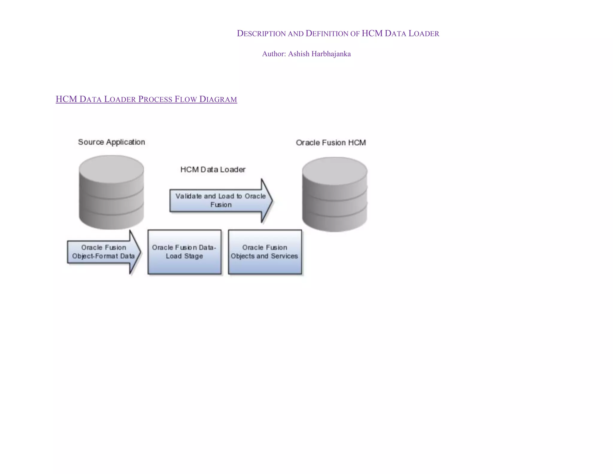 Description and Definition of HCM Data Loader | PDF