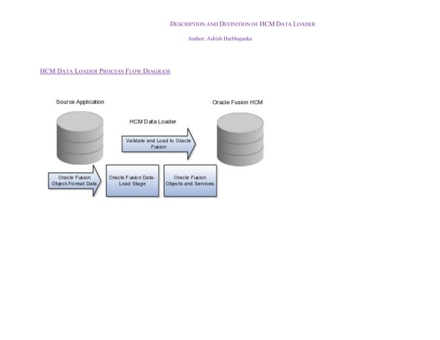 Description and Definition of HCM Data Loader | PDF