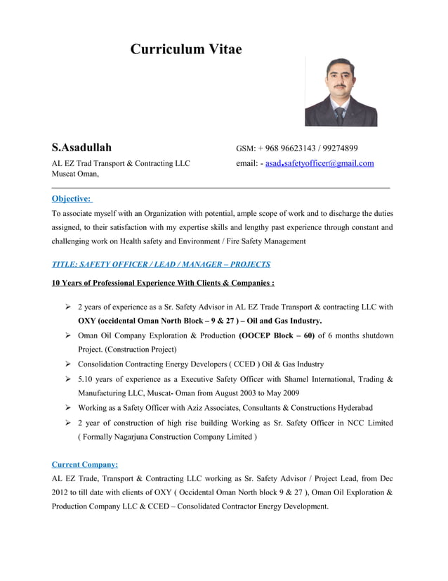 HSE Project Lead - Manager | PDF