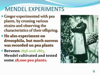 MENDELISM | PPTX
