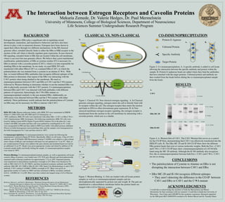 Mekuria's poster | PPT