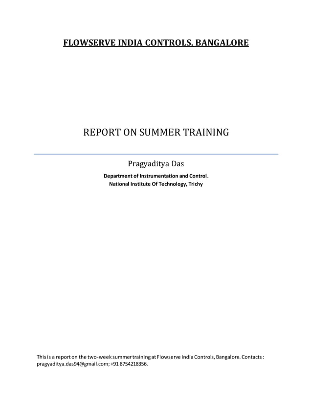 Flowserve Report | PDF