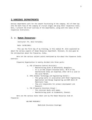 Flowserve Report | DOCX