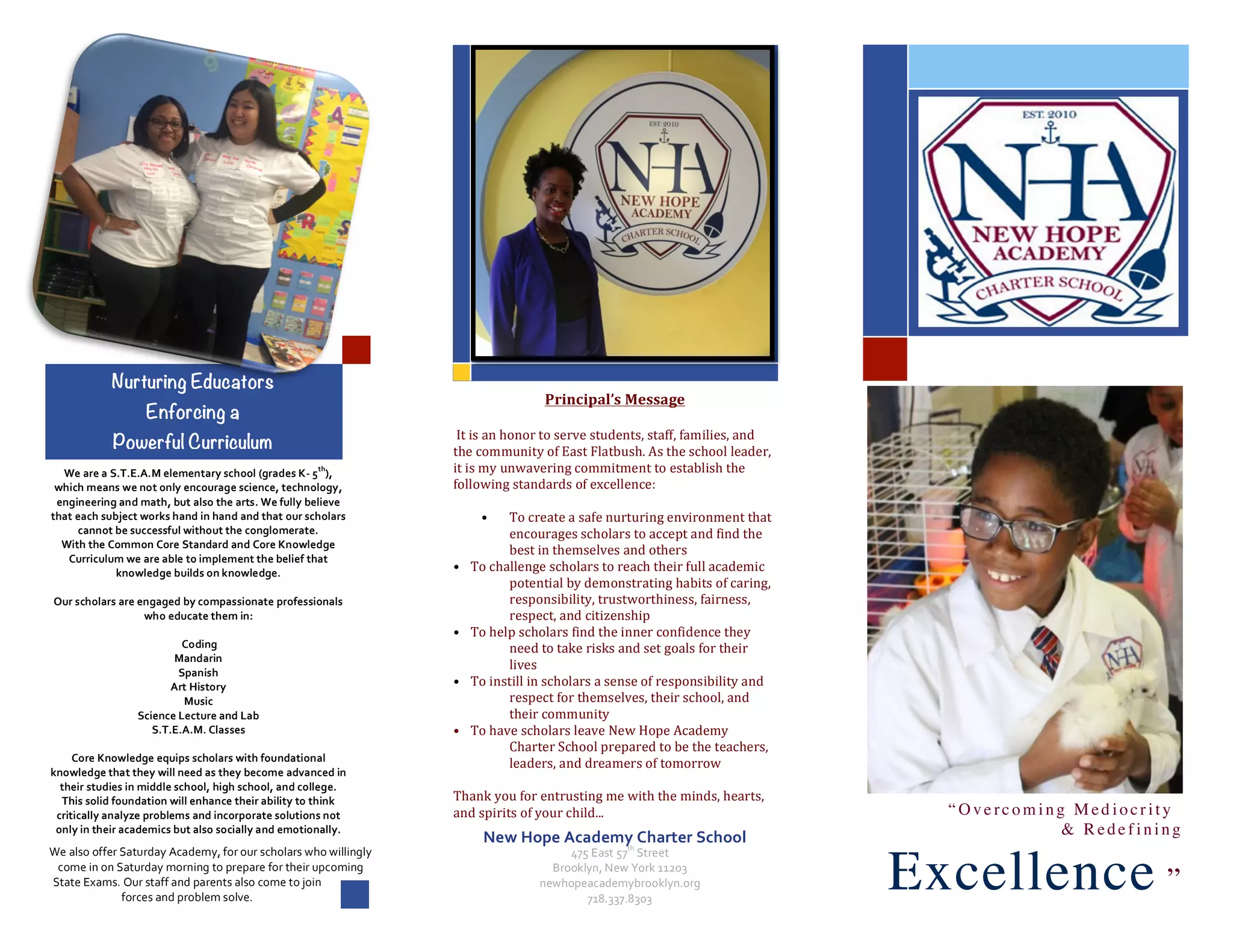 School Brochure | PDF