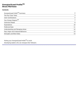 Energize2Lead Profile - Bruce Marinace | PDF