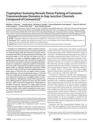 Tryptophan Scanning Reveals Dense Packing of Connexin Transmembrane ...