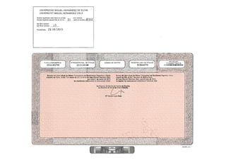 4.A.1 Master Universitario Union | PDF