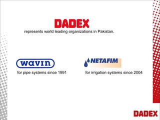 Dadex Company Profil | PPT