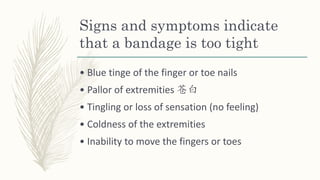2017年初级组课程资料 Lesson 5 | PPT