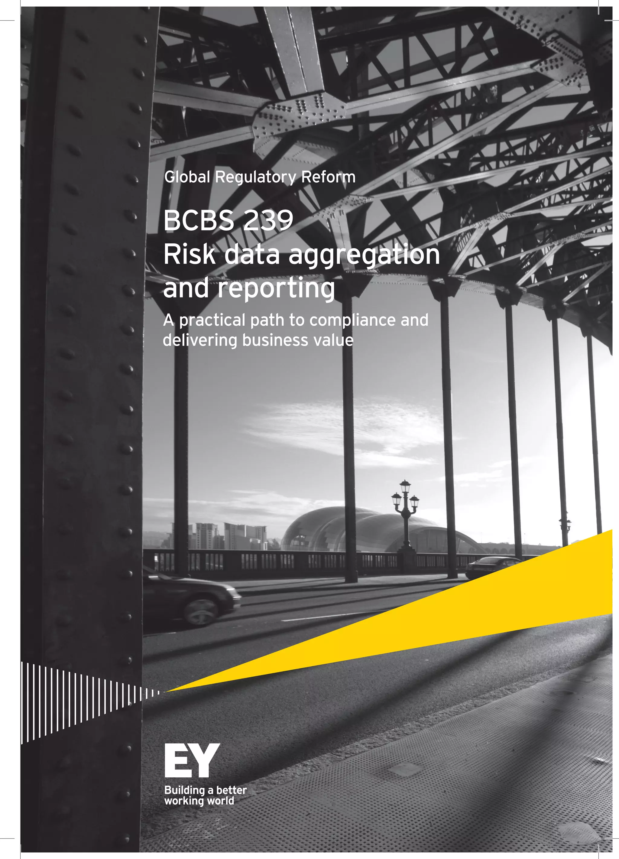 BCBS 239 risk data aggregation reporting_Feb15_PRINT | PDF