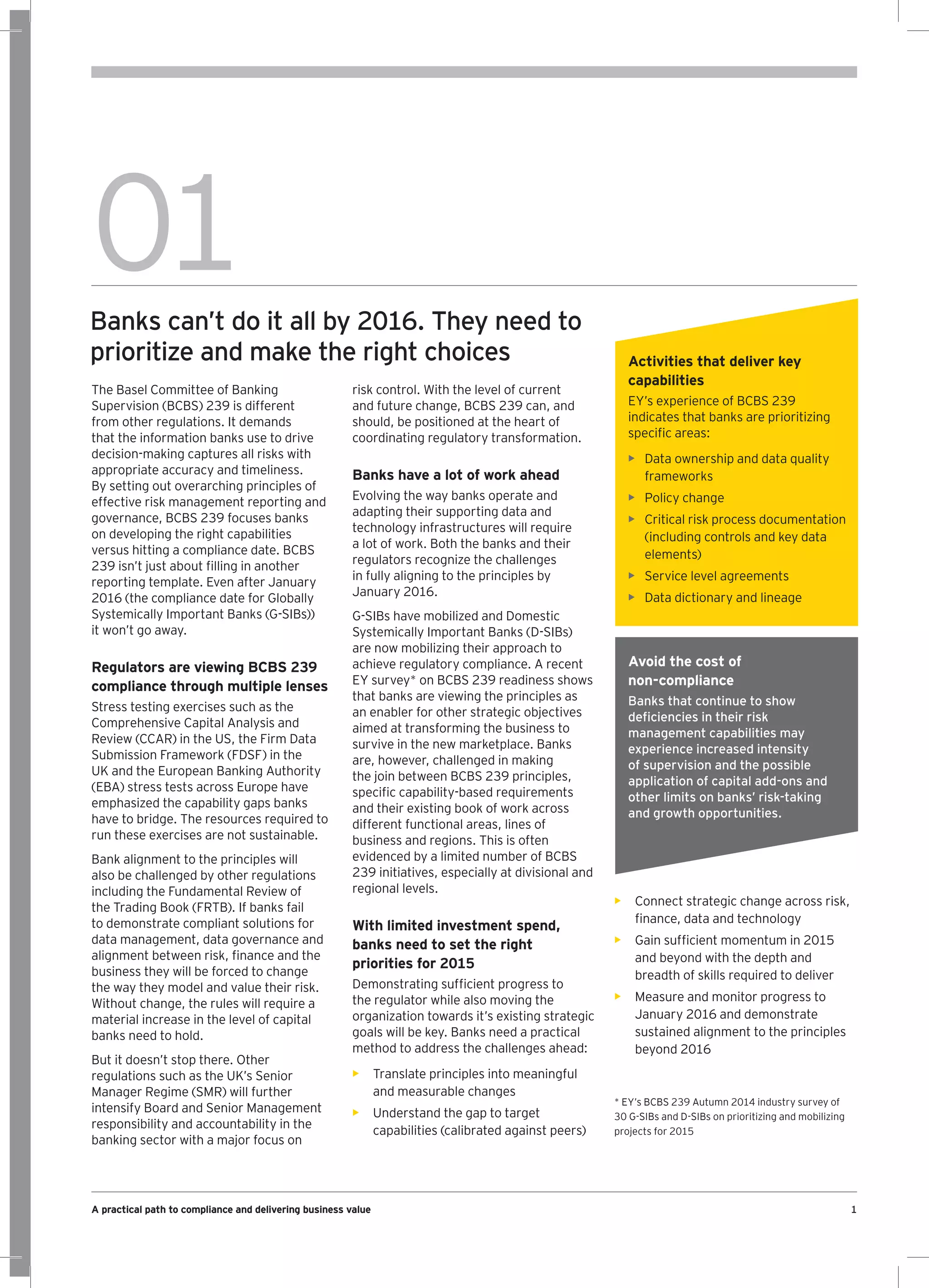 BCBS 239 risk data aggregation reporting_Feb15_PRINT | PDF