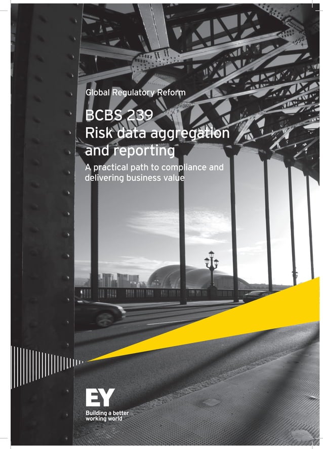 BCBS 239 risk data aggregation reporting_Feb15_PRINT | PDF | Business ...