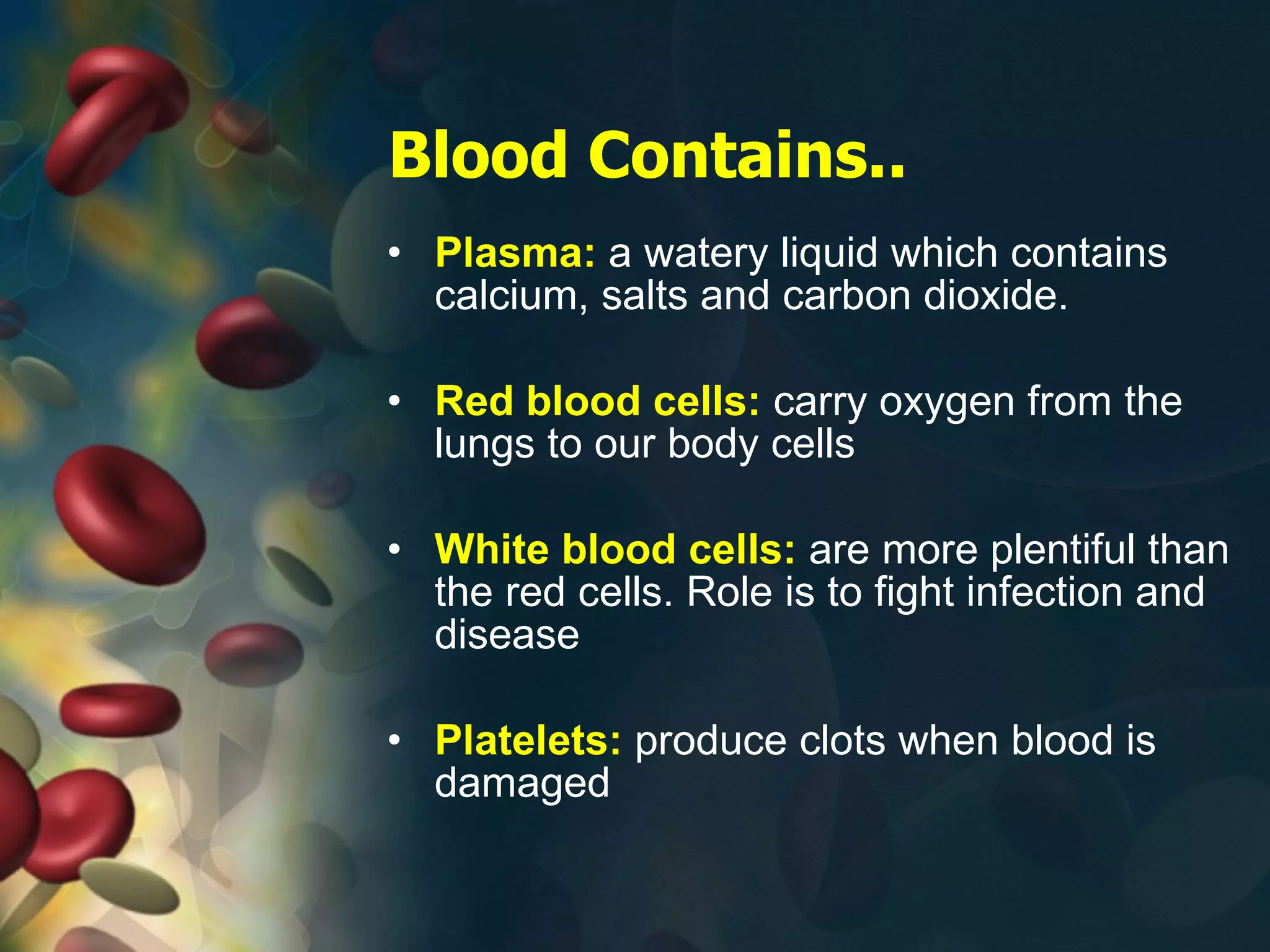 Bfd blood vessels session 3 | PPT