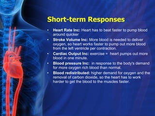Bfd b st & lt effects of exercise on cv sys session 1 | PPT