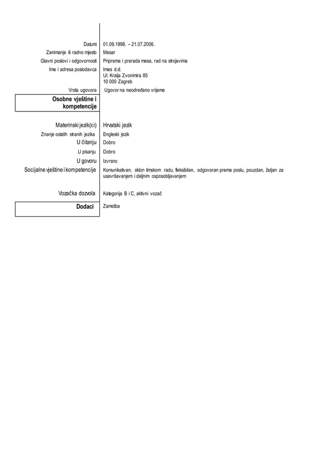 CV - denis budak | PDF