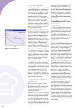 The British Frozen Food Industry, a food vision | PDF