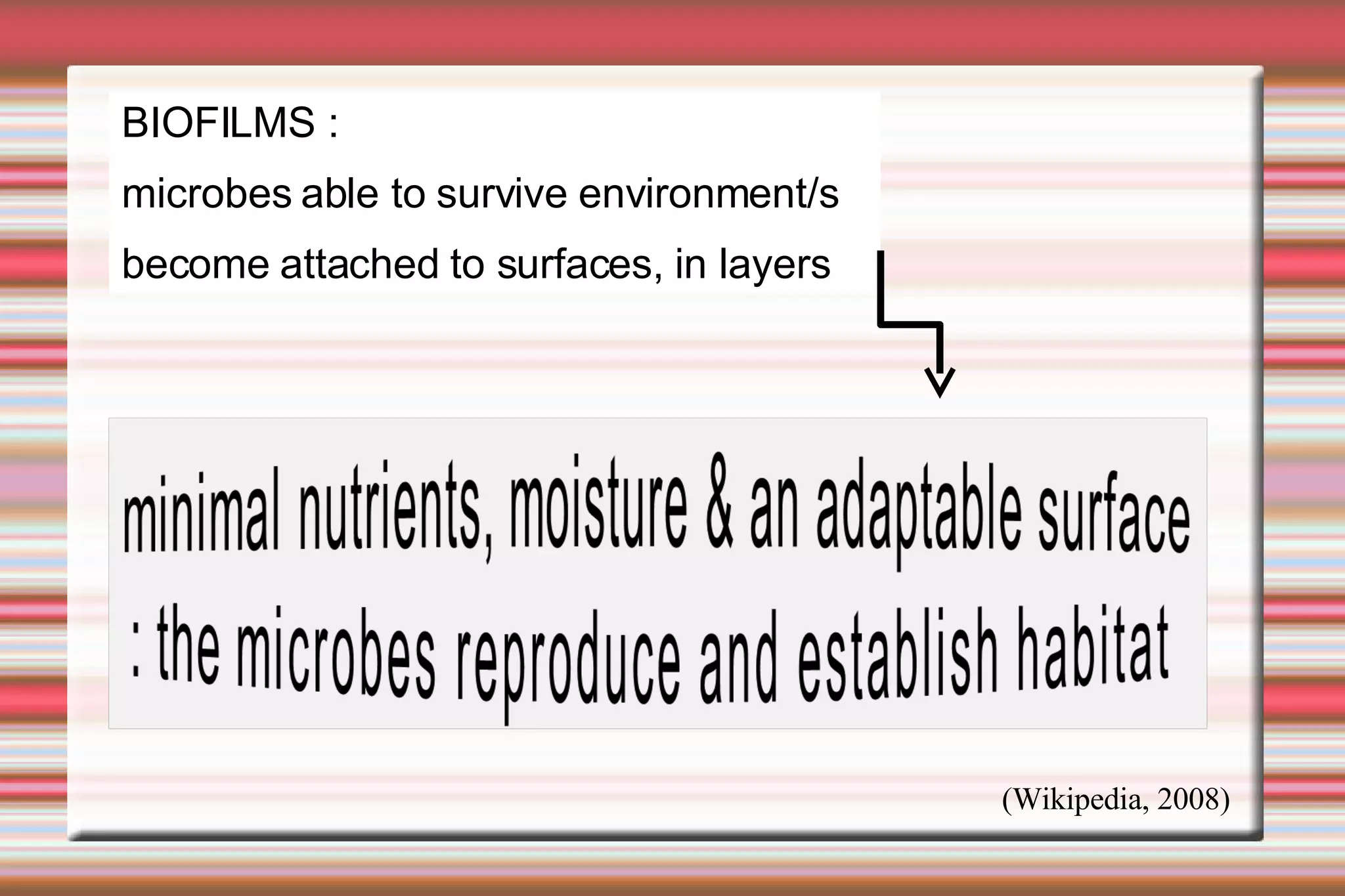 Describe Biofilms | PPT