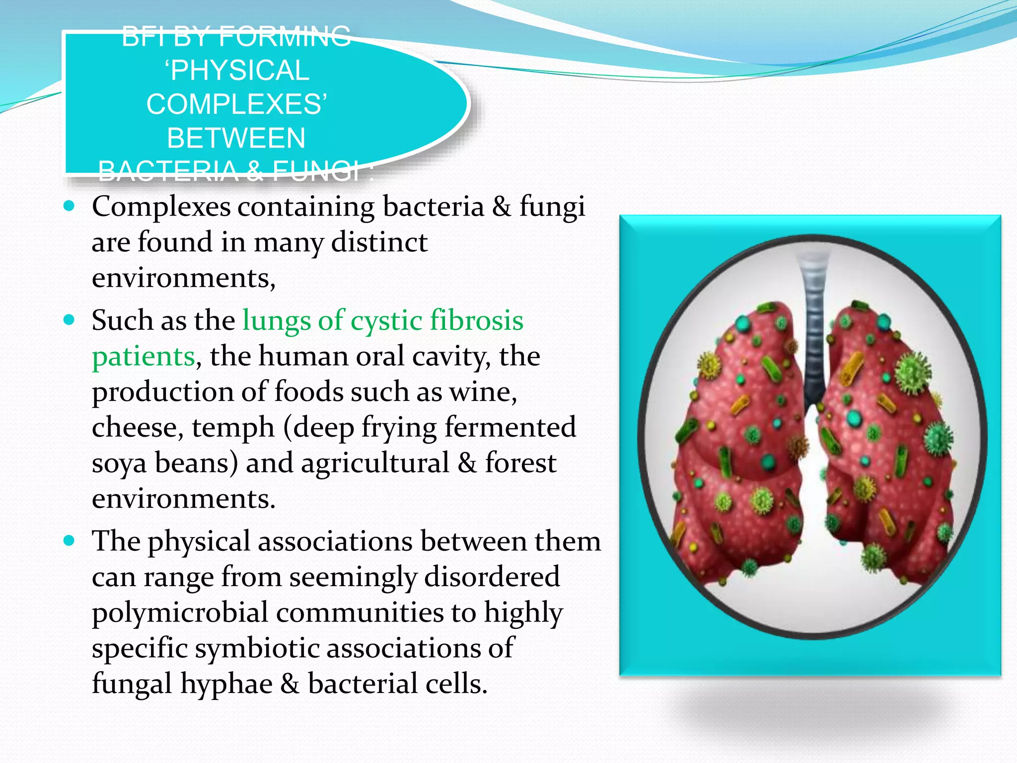 BACTERIAL-FUNGAL INTERACTIONS | PPTX
