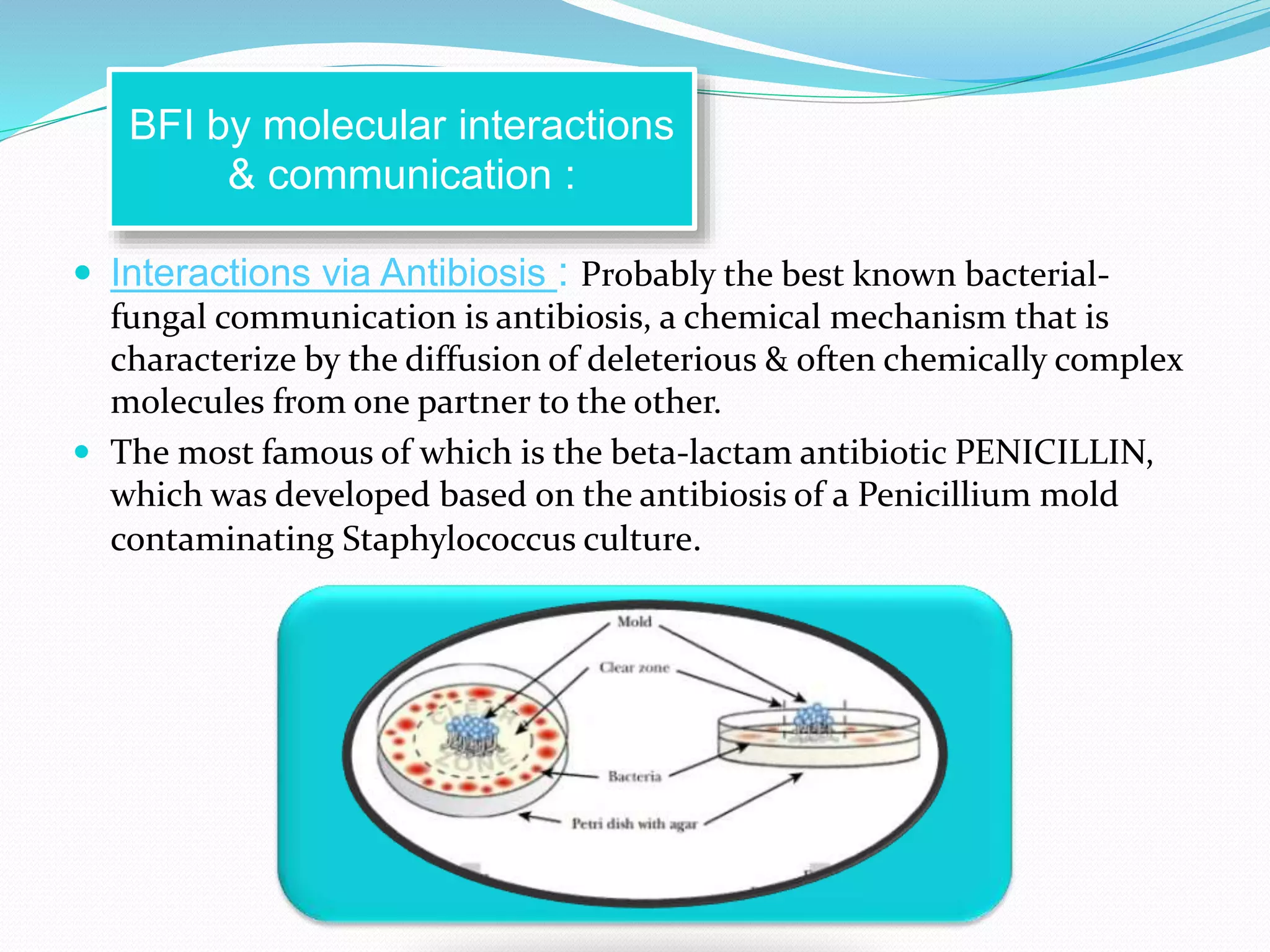 BACTERIAL-FUNGAL INTERACTIONS | PPTX