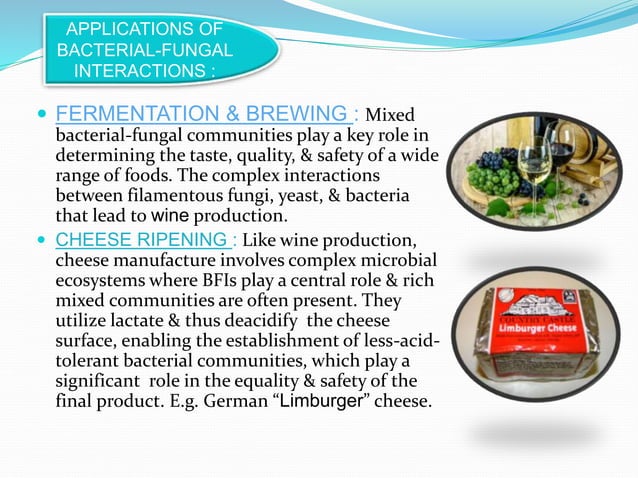 BACTERIAL-FUNGAL INTERACTIONS | PPTX