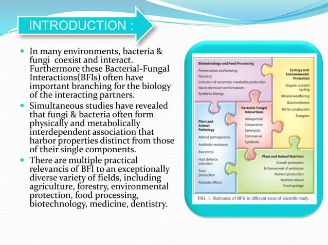 BACTERIAL-FUNGAL INTERACTIONS | PPTX