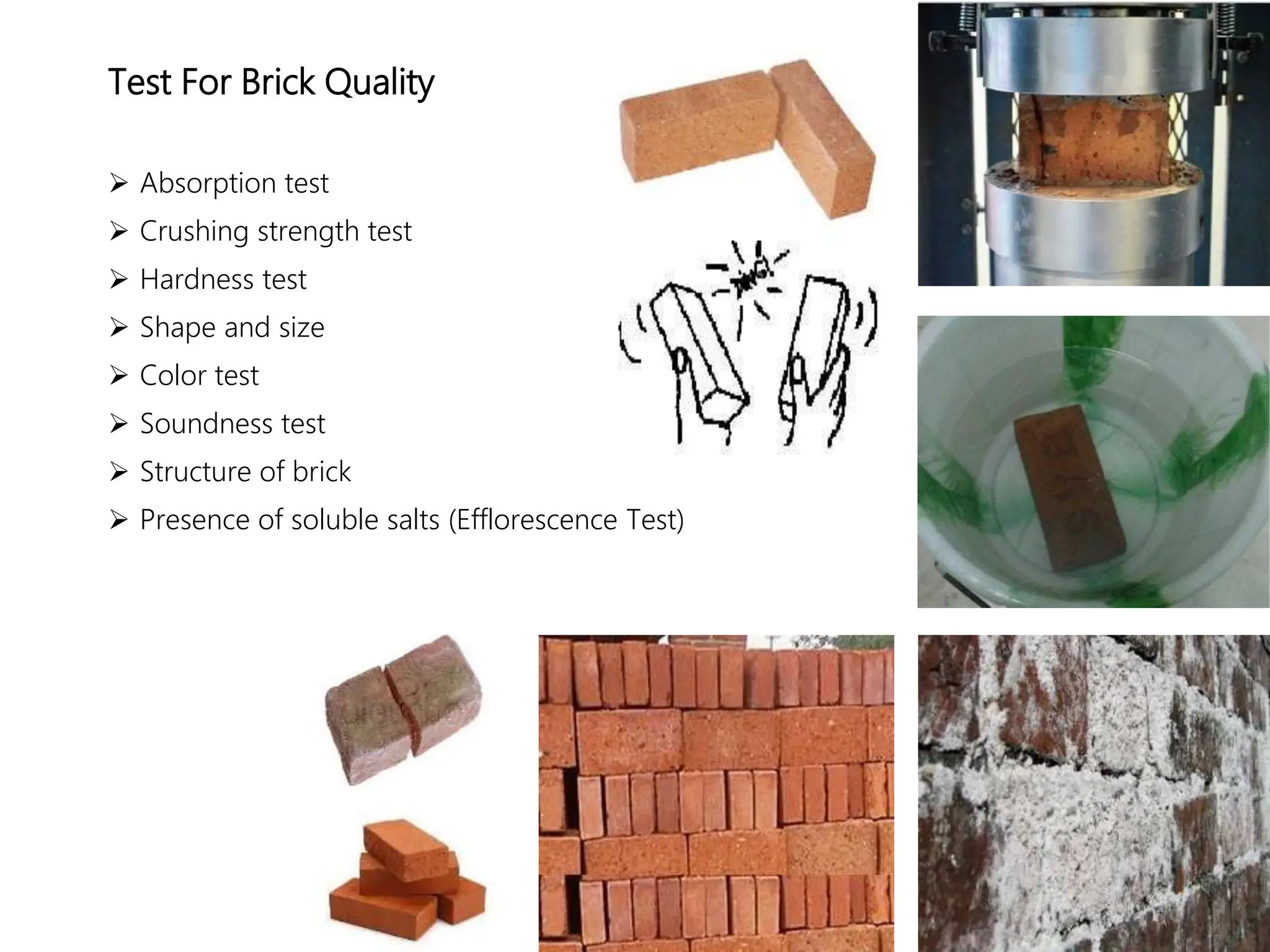 BFM-Presentation-On-Brick.pptx