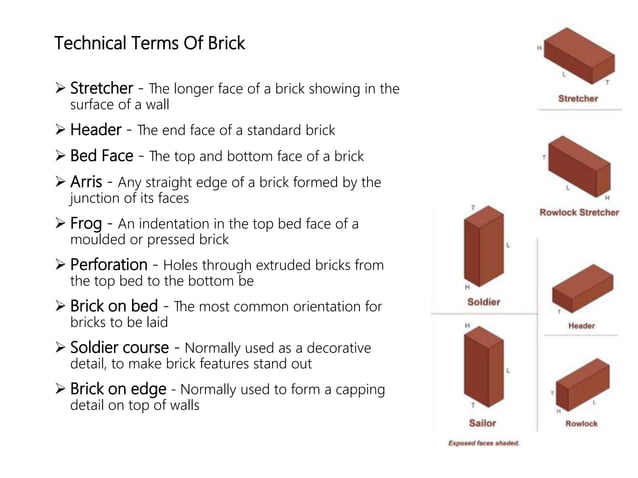 BFM-Presentation-On-Brick.pptx