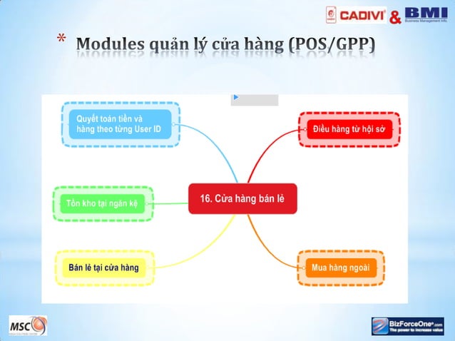 Bfo presentation 4 cadivi v5 | PPT