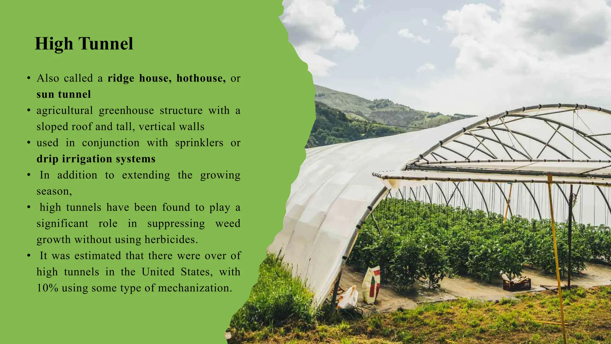 Tunnel farming in Pakistan , tunnel types and challenges . | PPTX