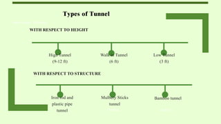 Tunnel farming in Pakistan , tunnel types and challenges . | PPTX
