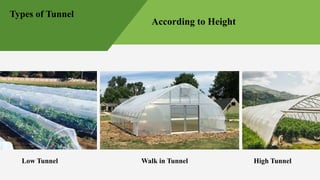Tunnel farming in Pakistan , tunnel types and challenges . | PPTX