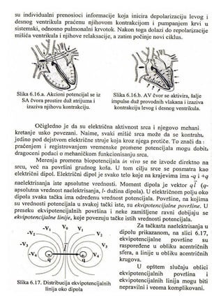 Bf p8 elektricni signali u ljudskom organizmu | PDF