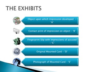 Fingerprint Evidence | PPTX