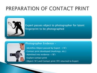 Fingerprint Evidence | PPTX