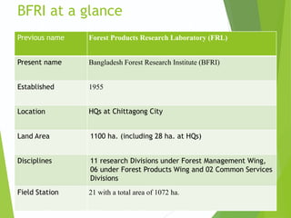 Bfri and bfidc tour 2015 (ifescu) | PPTX