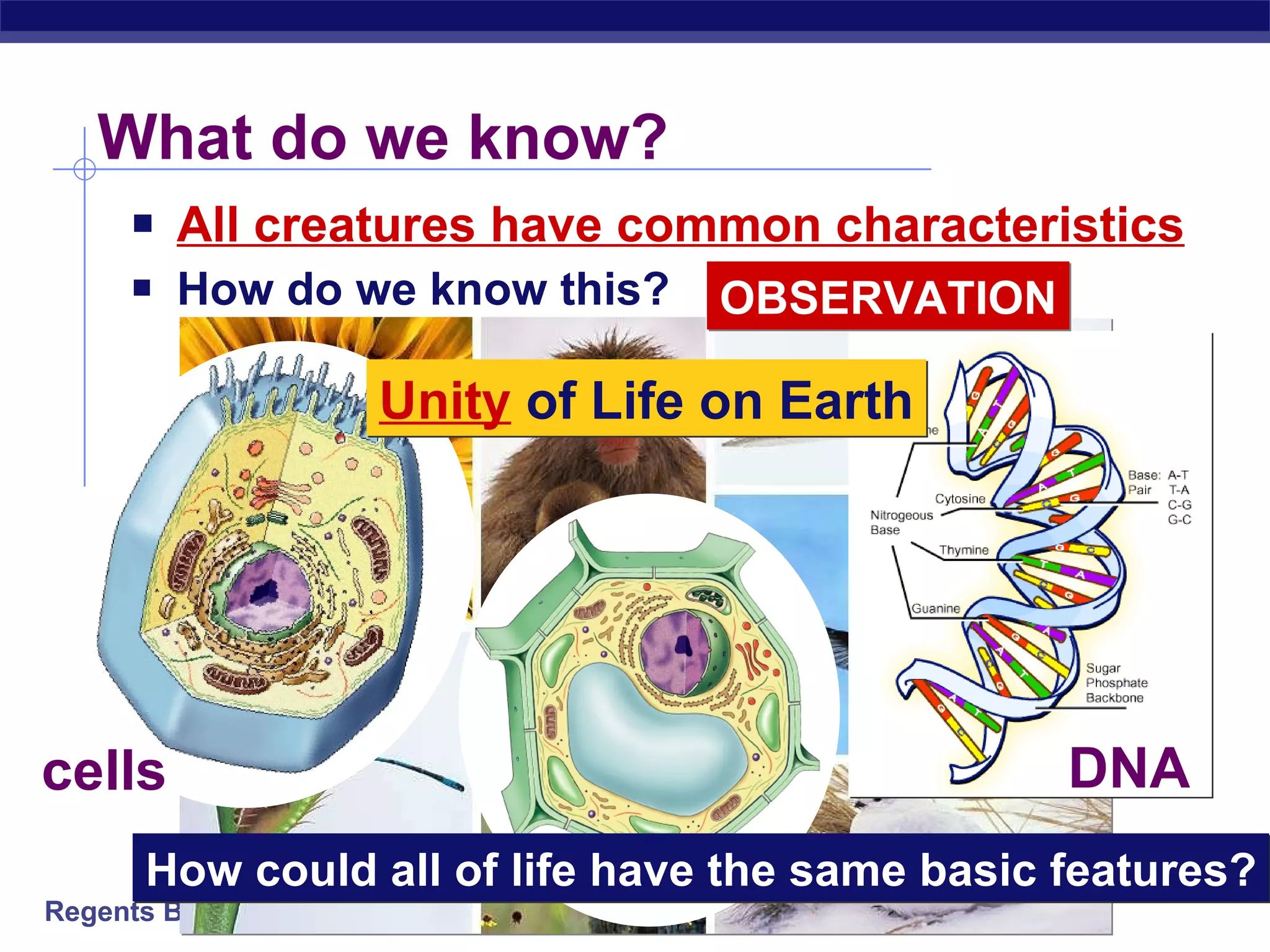 Bfs bio Evolution intro | PPT