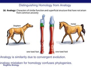 Bfs bio Evolution intro | PPT