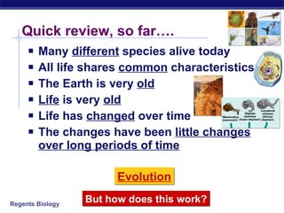 Bfs bio Evolution intro | PPT