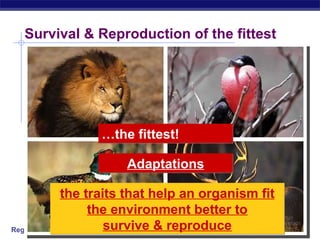 Bfs bio Evolution intro | PPT