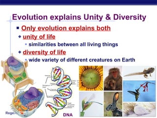 Bfs bio Evolution intro | PPT