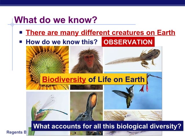 Bfs bio Evolution intro | PPT