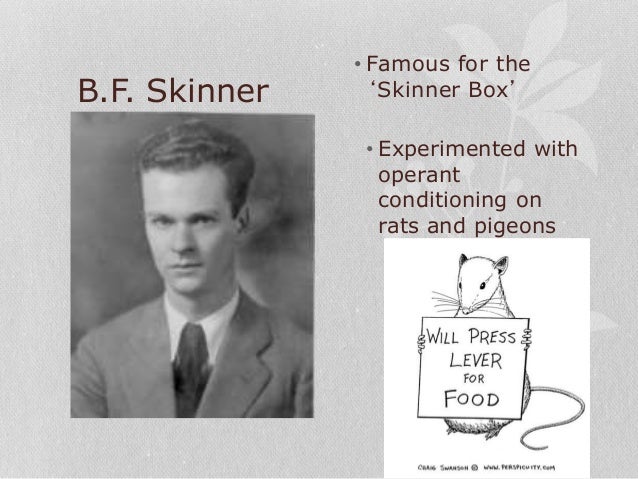 Bf skinner